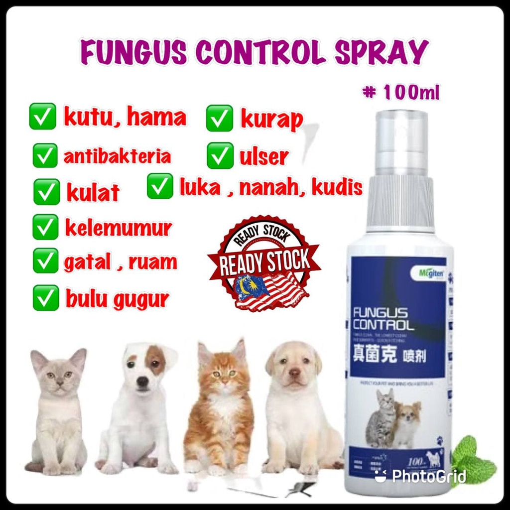 Spray Ringworm Wounds Scabies Itching Rash Lice Pests Hair Loss Fungus ...