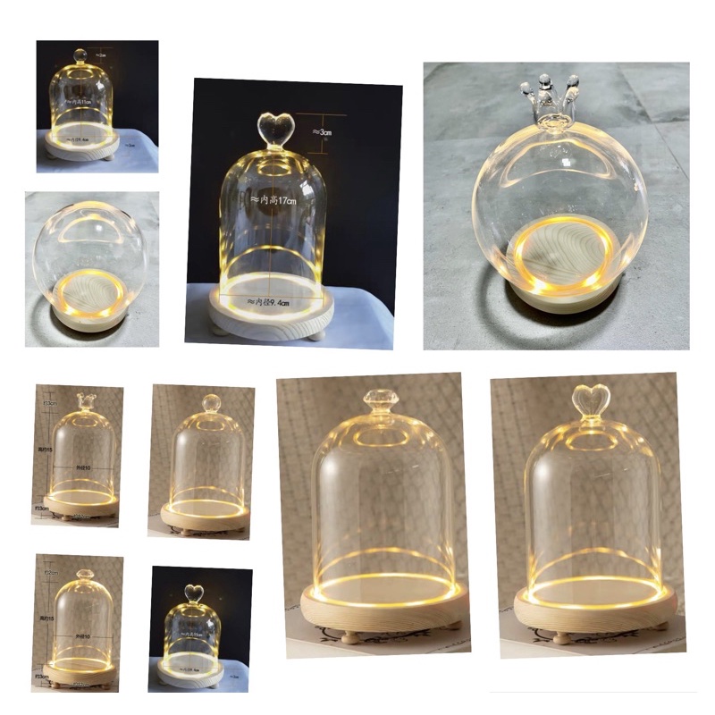 SG Instocks Glass bell Dome Container Jar with LED Lights Wood based ...