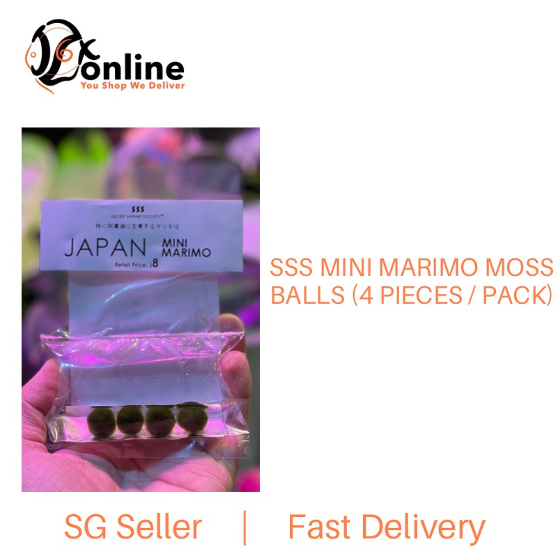 BUNDLE Deal : (2 Packs) SSS Mini Marimo Moss Balls (4 pieces / pack ...