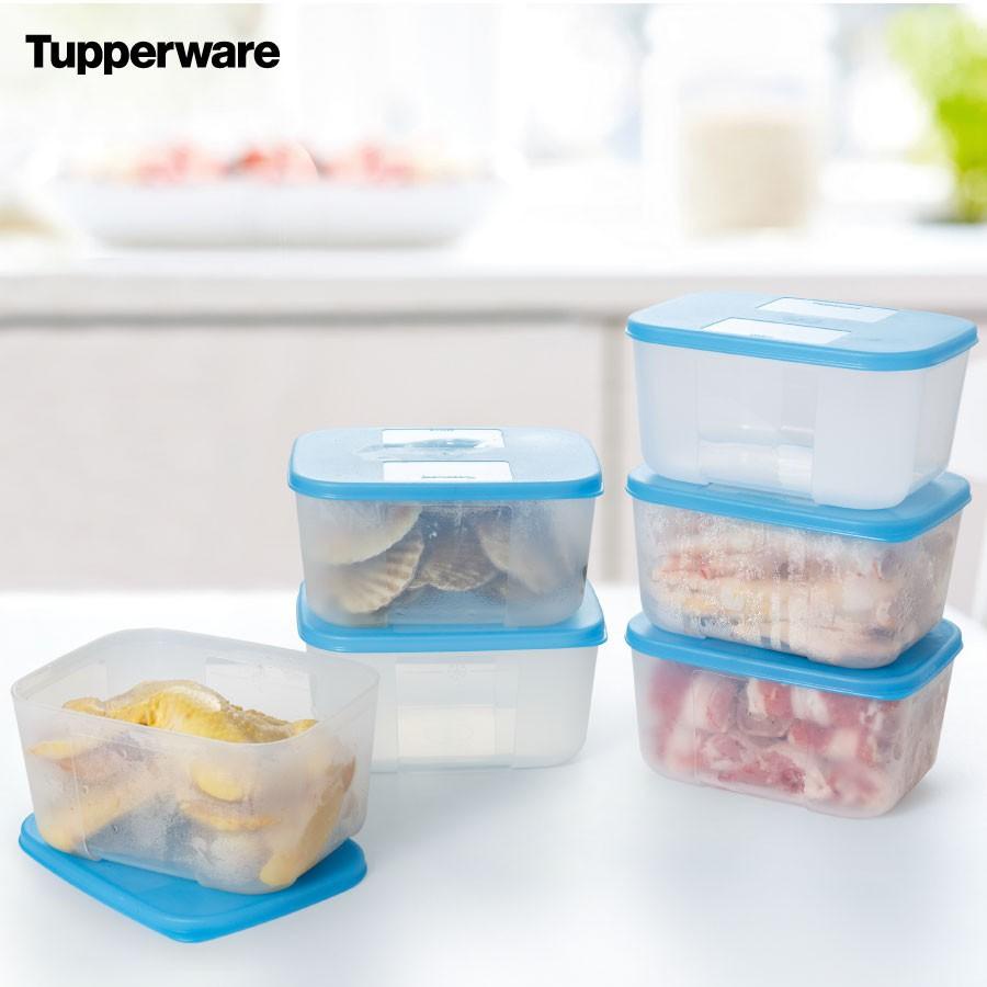 Freezer Mate Tupperware Clearance Defect Scratch Purple Blue Tupperware ...