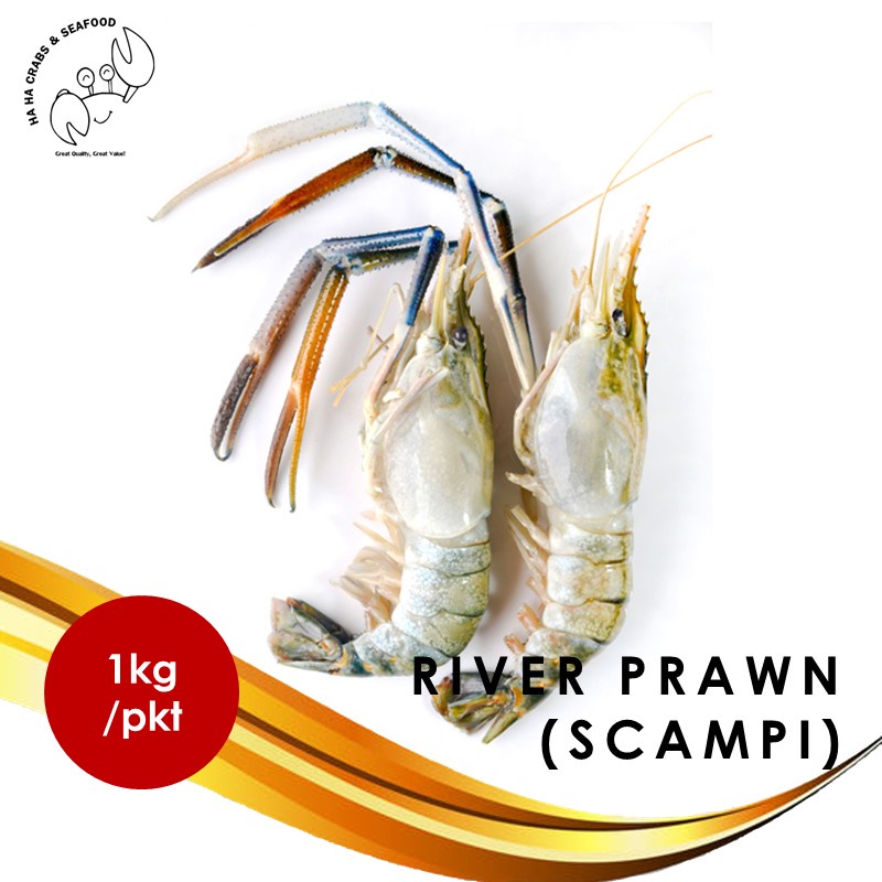Scampi (River Prawn) 大头虾, Big Size 1kg/pkt | Shopee Singapore