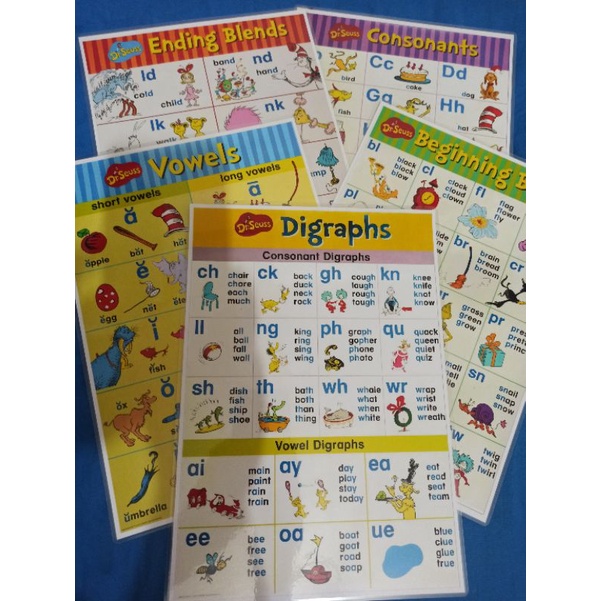 Laminated Educational Charts (vowels,ending blends,digraphs,consonants ...