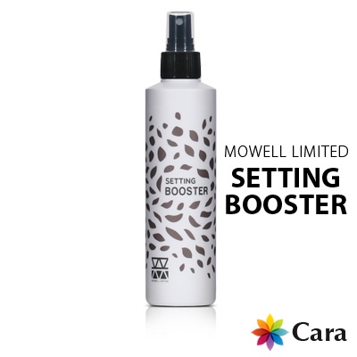 MOWELL LIMITED SETTING BOOSTER 250ml / Hair Fixing Spray | Shopee Singapore