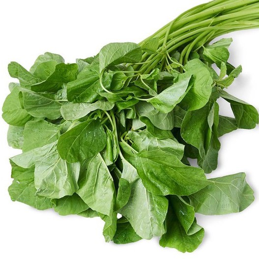 2000 Local Round Leaf Bayam Spinach seeds (fr SG) | Shopee Singapore