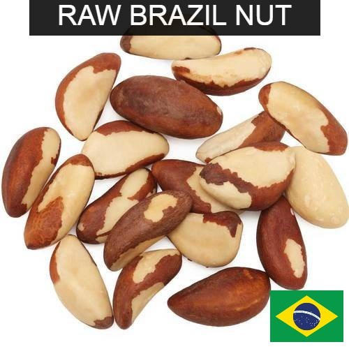 250g | 500g RAW NUTS PRODUCED FROM | Shopee Singapore