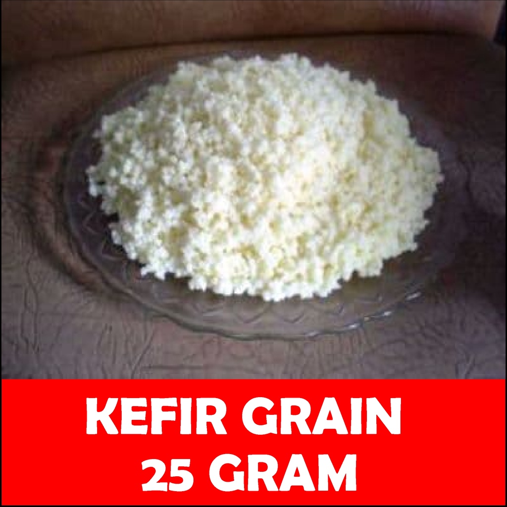 KEFIR SEEDS - Kefir Grain 25 gr ORIGINAL | Shopee Singapore