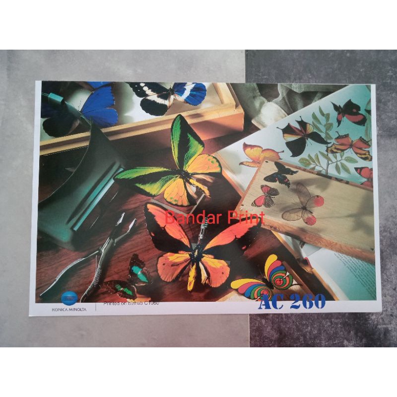 Digital PRINT A3+ ART CARTON 260 32X48 CM (1 SIDE WITHOUT LAMINATION ...