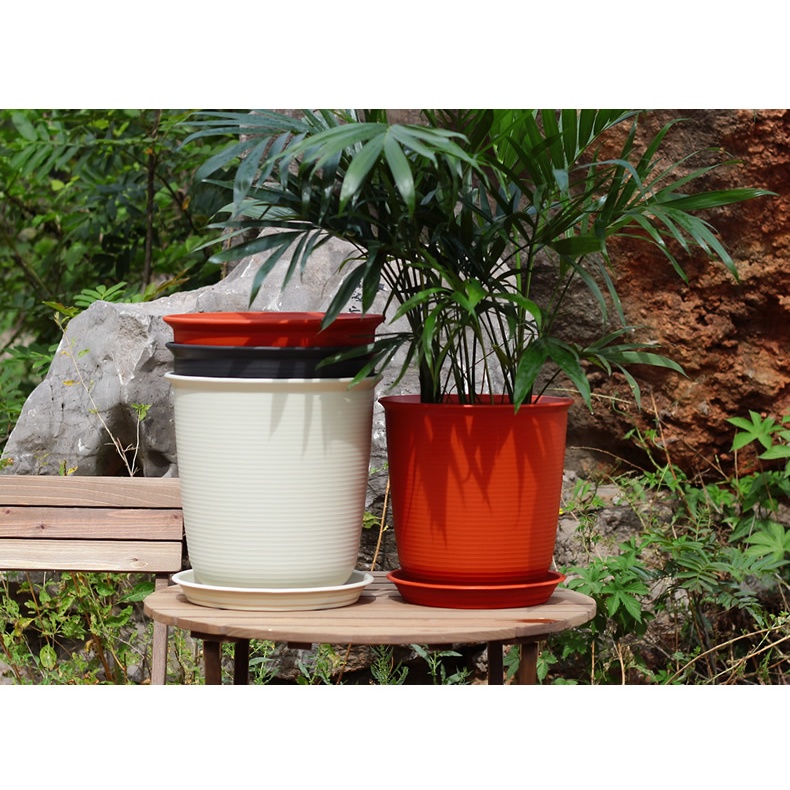 Round Tall Gardening Pots With Drainage Hole and Base Tray Round Tall ...