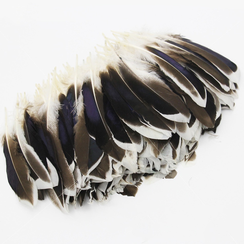 10Piece Natural DIY Duck feather plume crafts wedding feathers Birthday ...