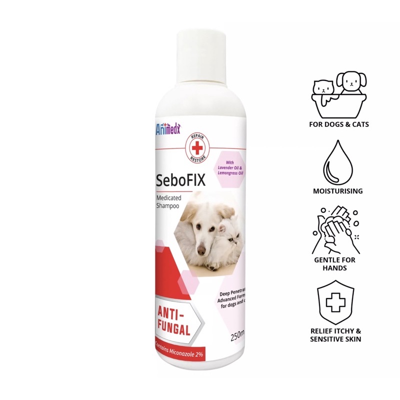 SeboFix Medicated Shampoo 250ml | Shopee Singapore