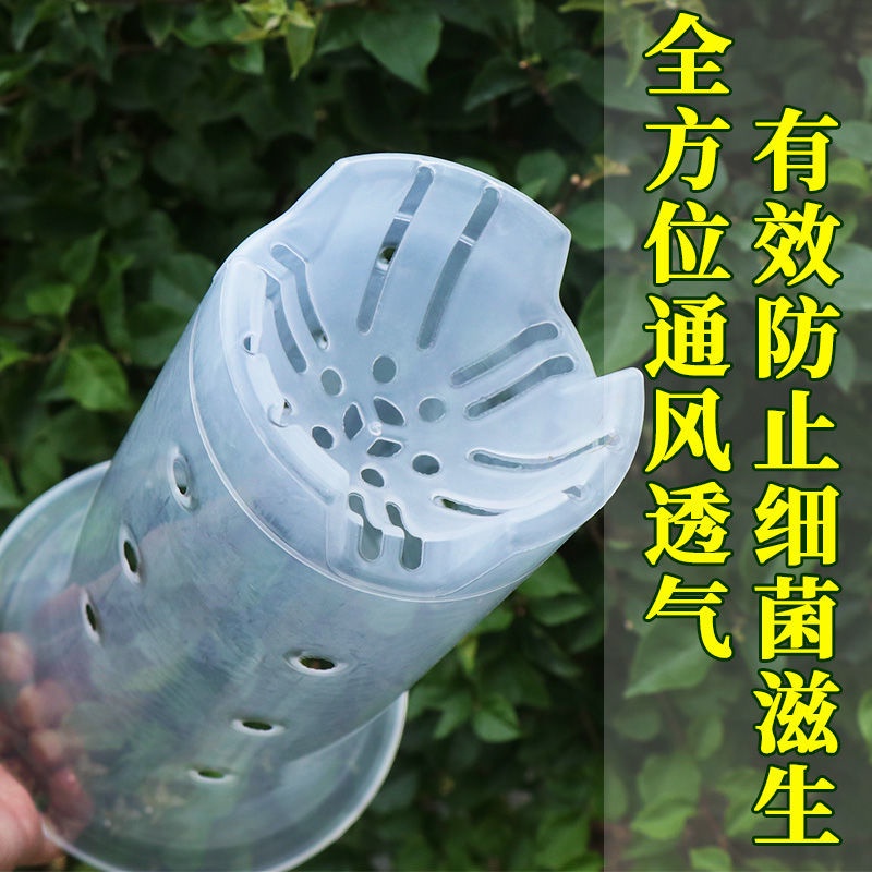 Transparent Orchid Pots Plastic Breathable Basin with Side Hole Orchid ...