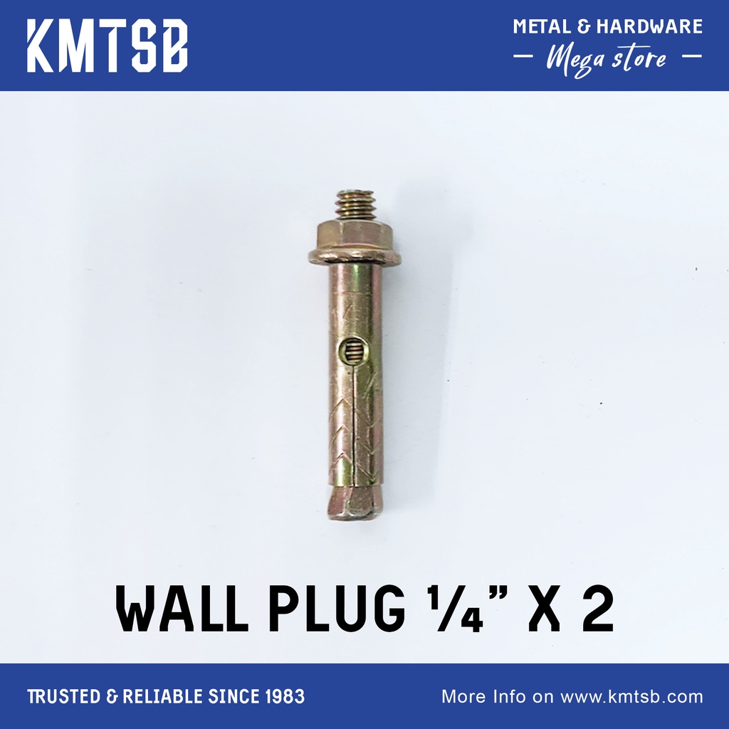 Wall Plug 1/4" x 2" with Nut Metal Thread For Gate Bracket Screw Secure ...