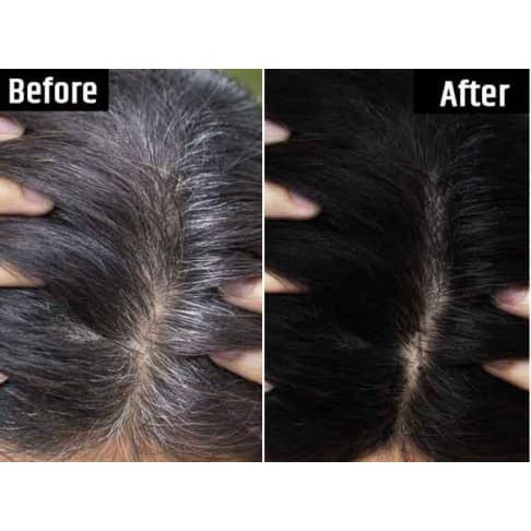 BIO K Hair Bubble Dye Color Shampoo/Permanent Grey white /Ash Grey Hair ...