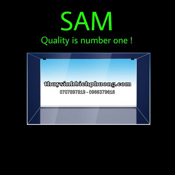 Led SAM LIGHT Green - BACKGROUND Backdrop Backdrop Back Lake Changes ...