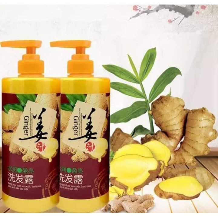 800ml Ginger Root Booster Shampoo GINGER WANG Authentic Old Ginger King ...