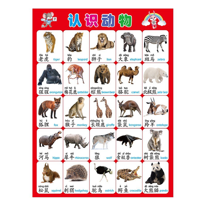 Educational Posters for Kids Preschool Learning Alphabet Numbers Shapes ...