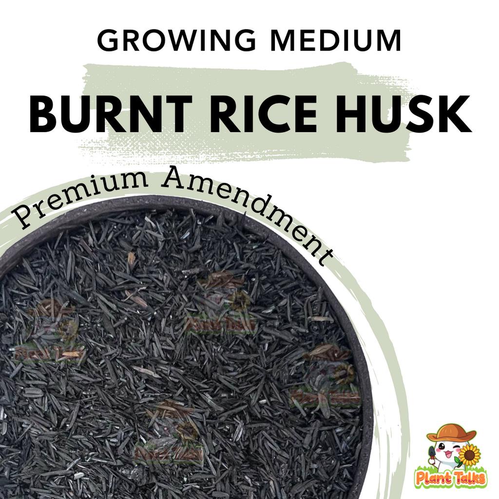 Plant Talks Burnt Rice Husk for Soil Amendment Rice Hull Charcoal Rice ...