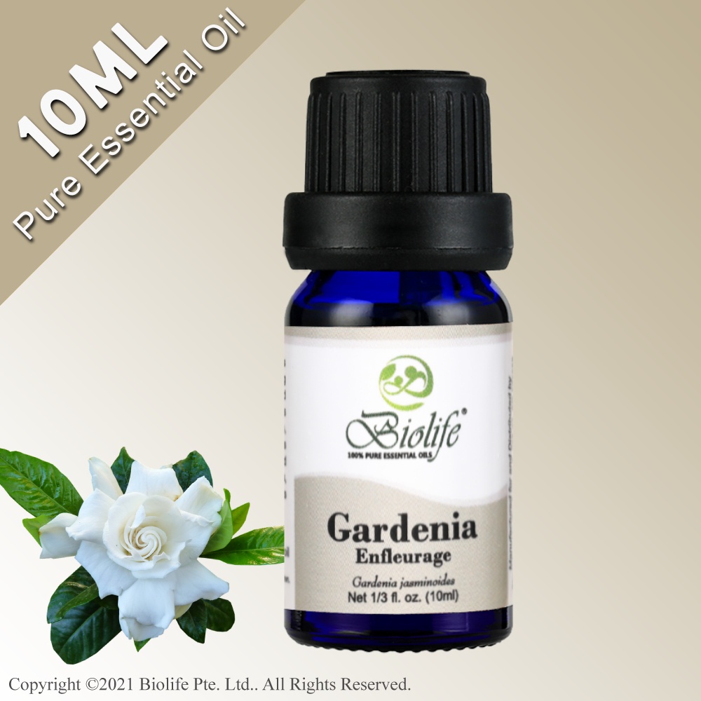 Biolife Gardenia Enfleurage, 100% Pure and Natural Premium Grade ...