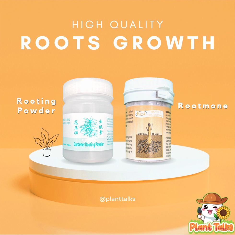 Premium Rooting Powder BEST IBA Rootmone Rooting Plant Hormone Roots ...