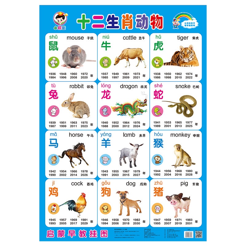 Baby Cognitive Wall Sticker Educational Posters for Kids Preschool ...