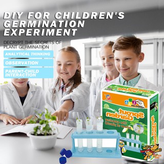 🌈Local Ship🌈Student Biological Science Teaching Model kids Plant ...