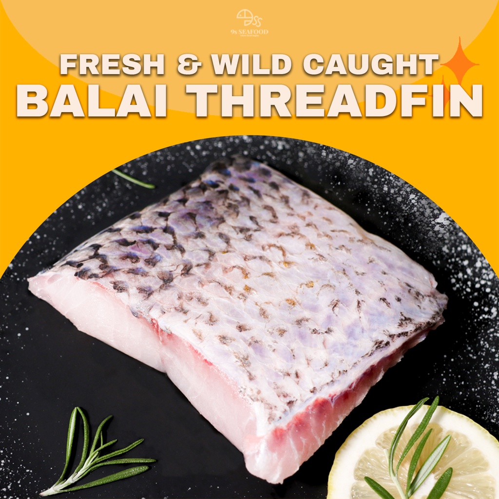 9S Seafood Fresh & Wild Caught Threadfin (Balai) Fillet 午鱼 (Fillet ...