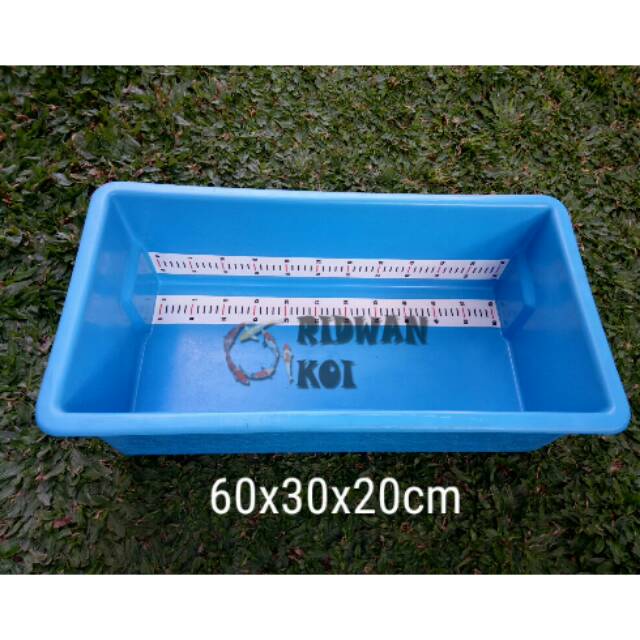 Fish Measuring Tank 60x30x20 (SICEPAT, GOJEK & GRAB ONLY) | Shopee ...
