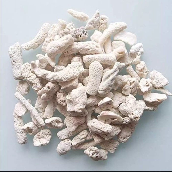 Ginger Coral Filter Media Aquarium Koi Fish Pond Water 1kg | Shopee ...