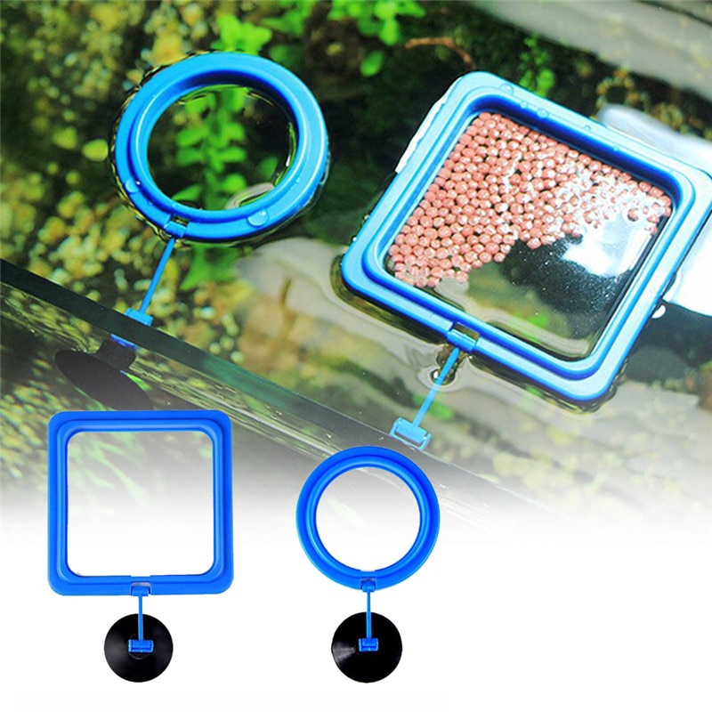 Floating Aquarium Fish Food Concentrated Feeder Fish Tank Feeding ...