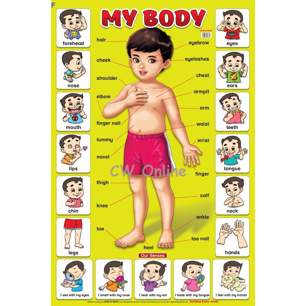 Poster Chart - ABC/ Alphabet Number Shape/ Times Tables/ Map Chart ...