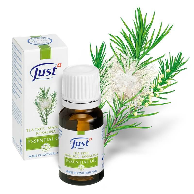 Original [Swiss JUST] Tea Tree Oil 10 ml (Made in Switzerland) | Shopee ...