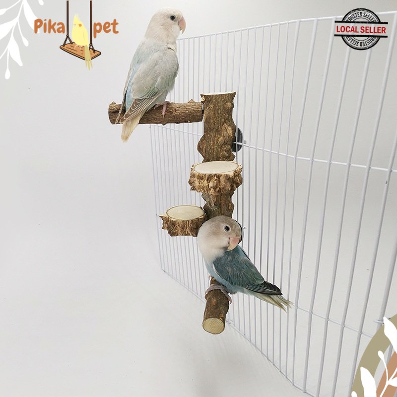 [SG Local Seller] Parrot Natural Pepper Perch Stand Play Bite Healthy ...