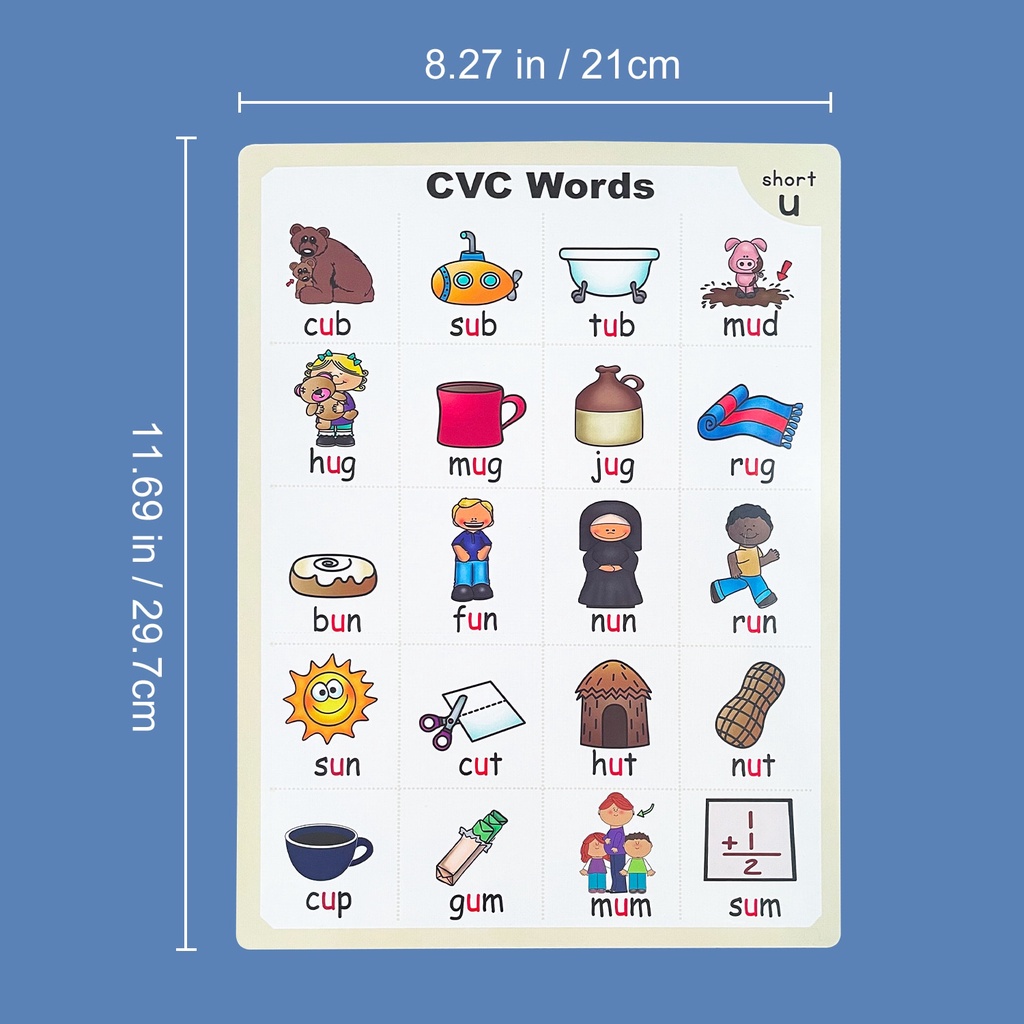 8Pcs CVC Phonics Words Poster Language Arts Skills Charts for Kids ...
