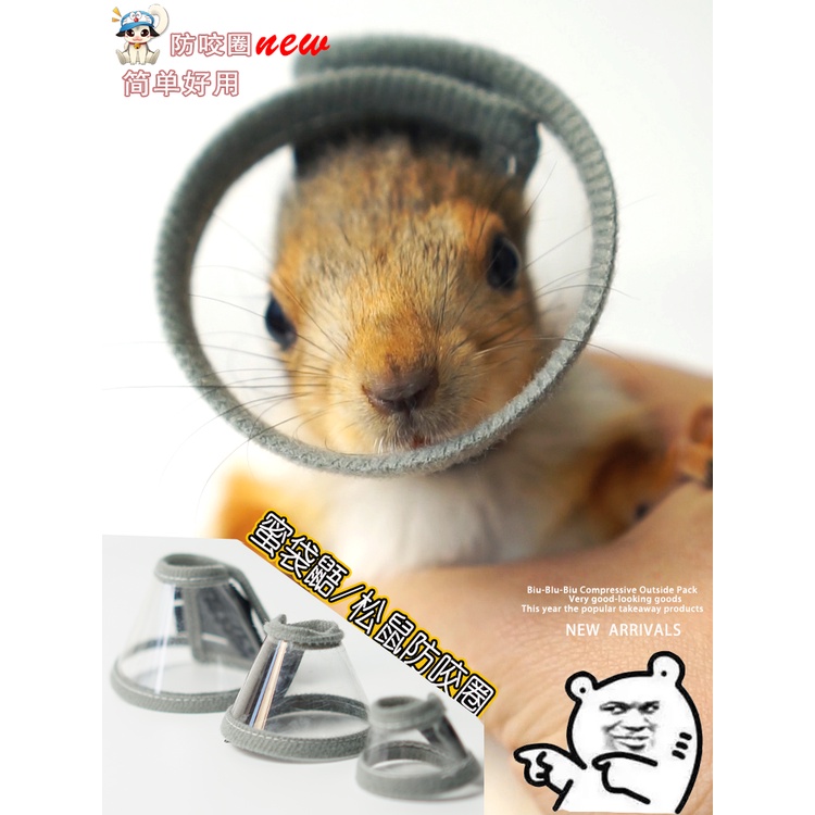 【Ailbrok】Hamster Protection Cone Neck Recovery Collar Anti-Bite Sratch ...