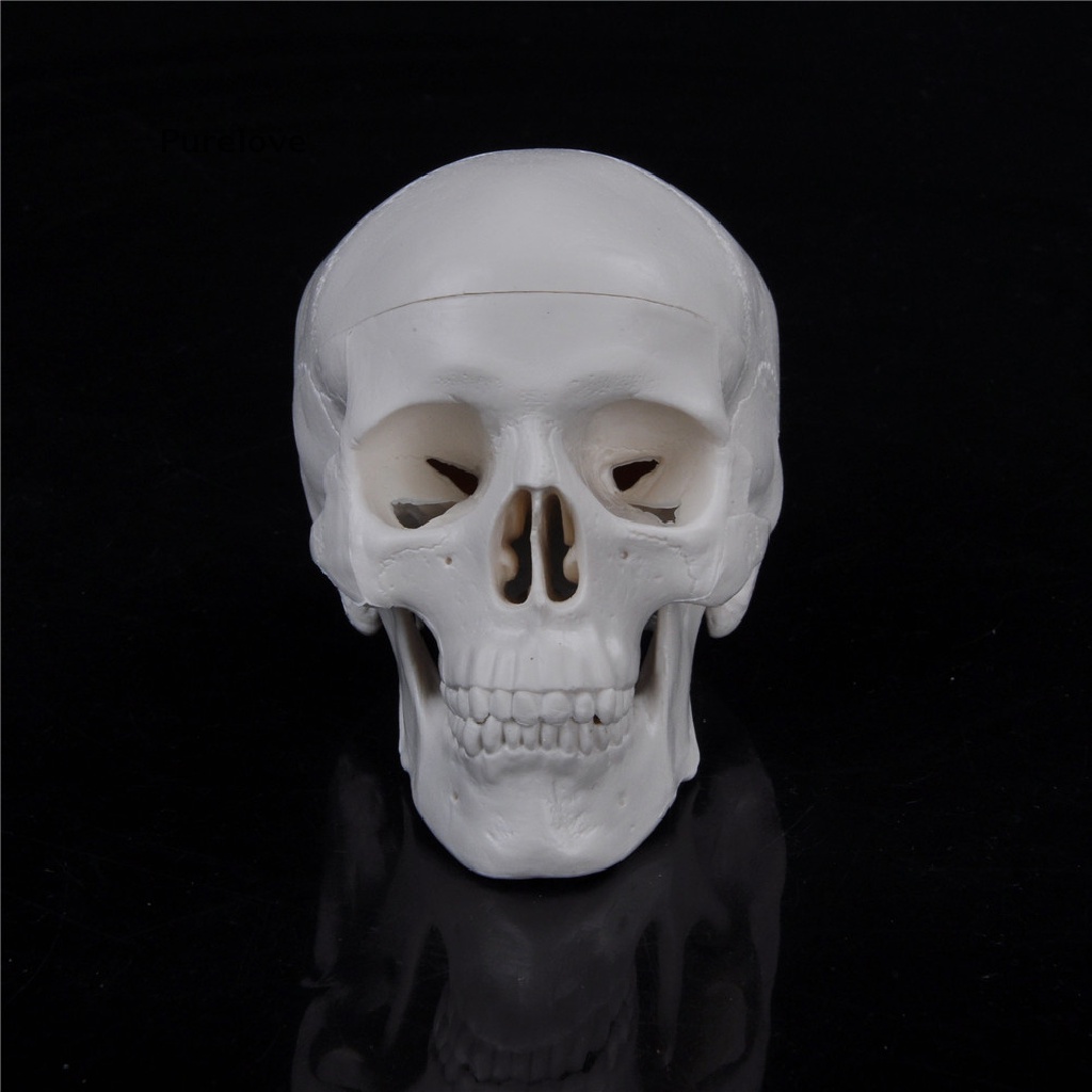 [Purelove] Teaching Mini Skull Human Anatomical Anatomy Head Medical ...