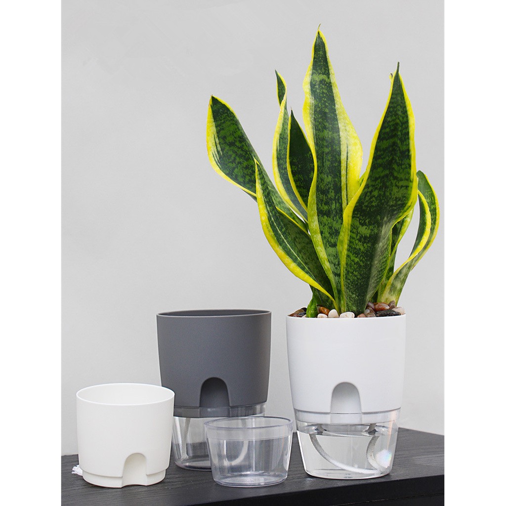 Self Watering Planter Double Layer Self Watering Plant Flower Pot ...
