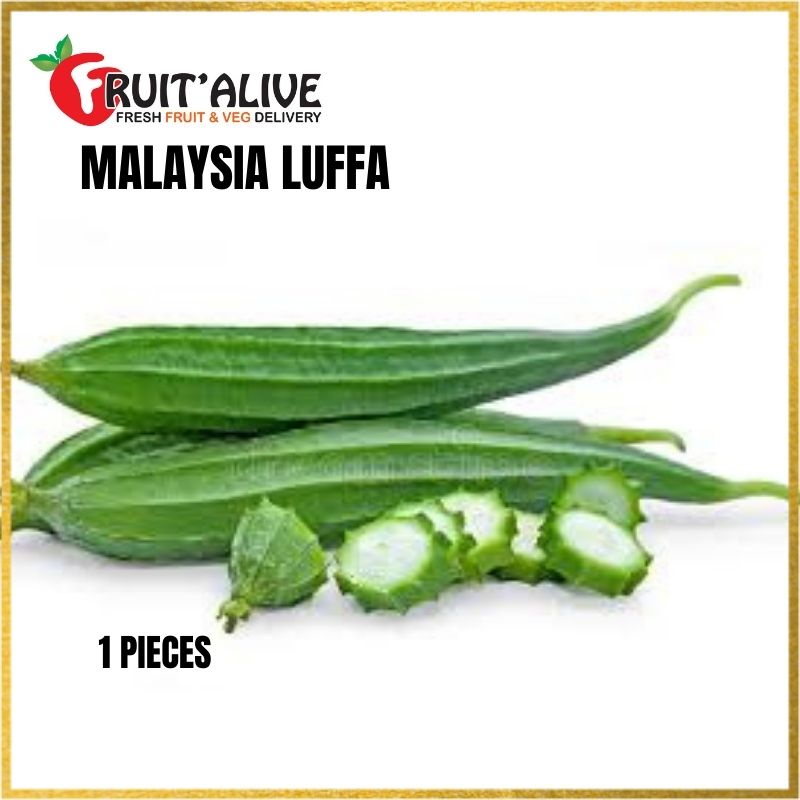 LUFFA /LOOFAH 角瓜 FROM MALAYSIA 400G-500G (VEGETABLE) | Shopee Singapore