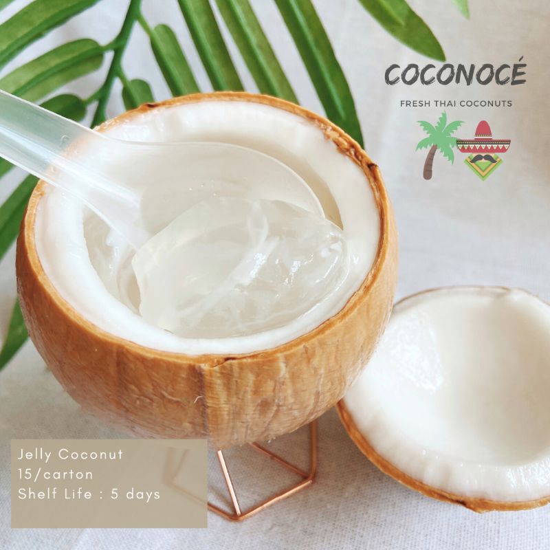 [Only Pickup Bedok] Taho Jelly Coconut [Carton of 15] | Shopee Singapore