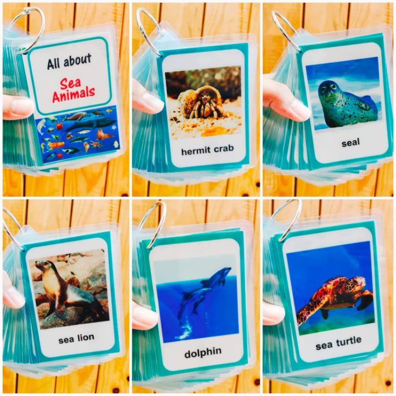 land animals educational laminated flashcards | Shopee Singapore