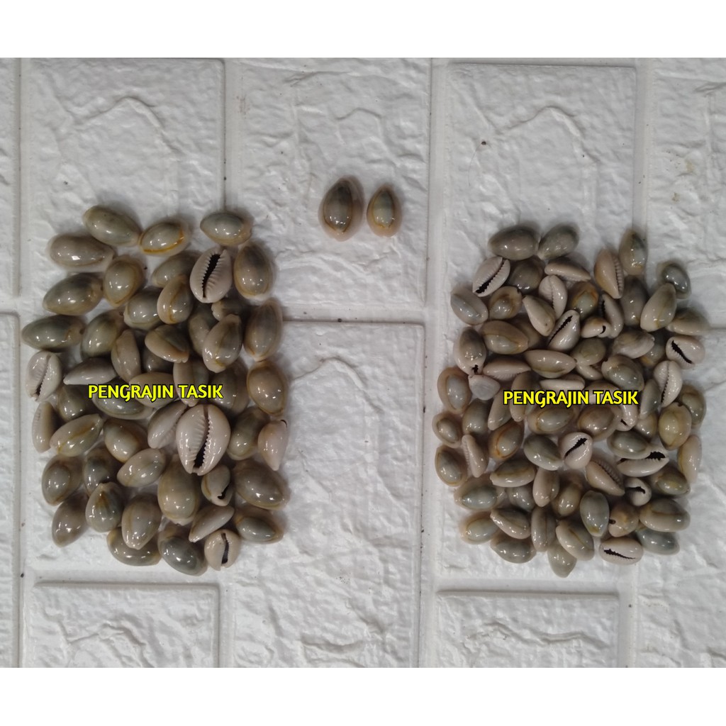 Kuwuk Congklak Seeds Contains 110pcs Original Congklak Shell Seeds ...