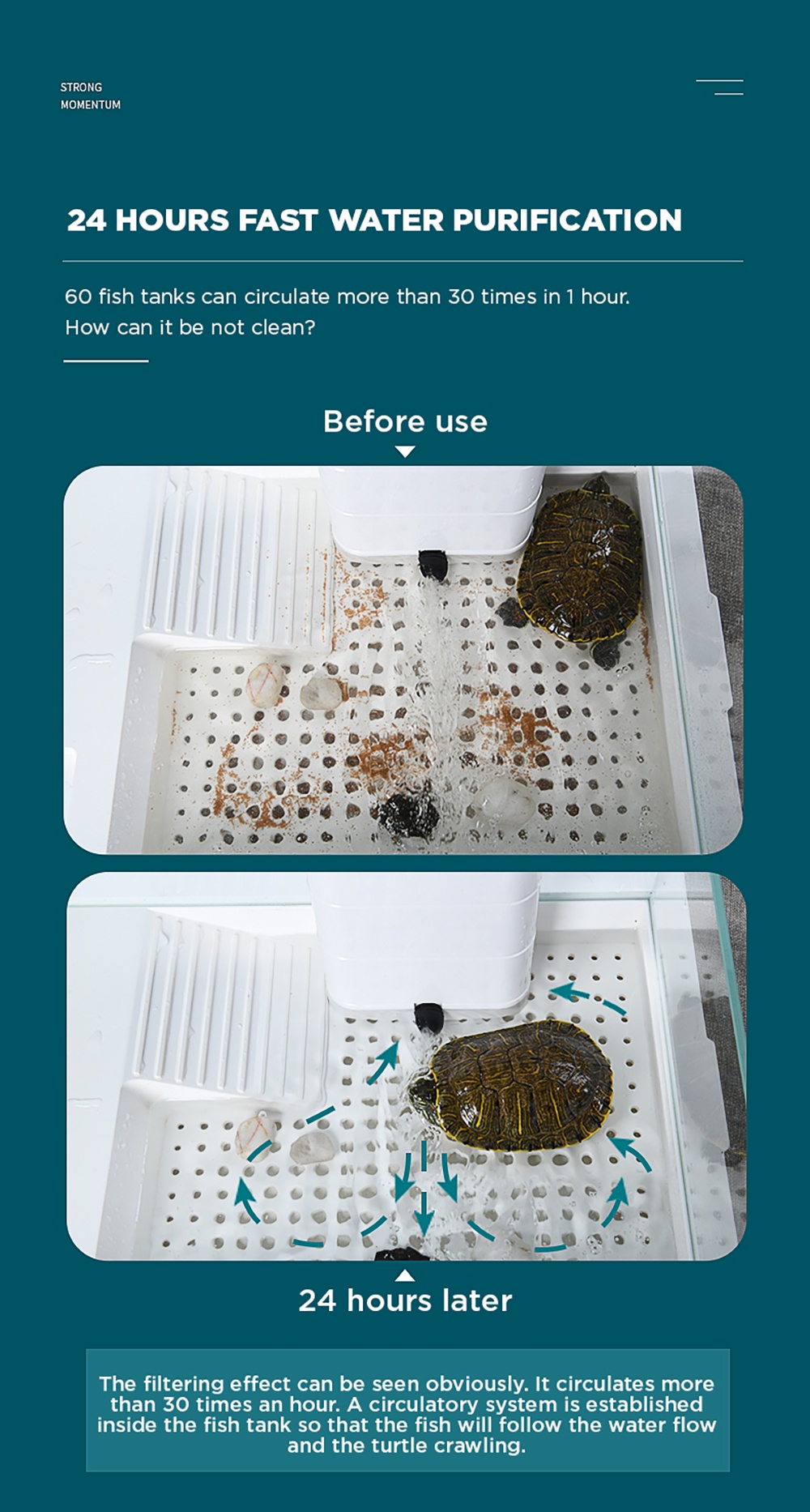 YEE Turtle Filter, Low Water Level For Turtle Tank, Bottom Suction 3in1 ...