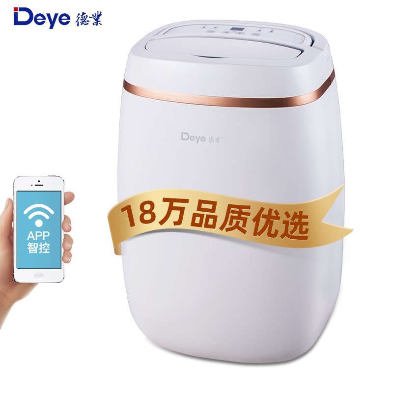 DEYE (Top Brand in Dehumidifier) DYD-E12A3 12L/Day 2.5L Water Tank ...