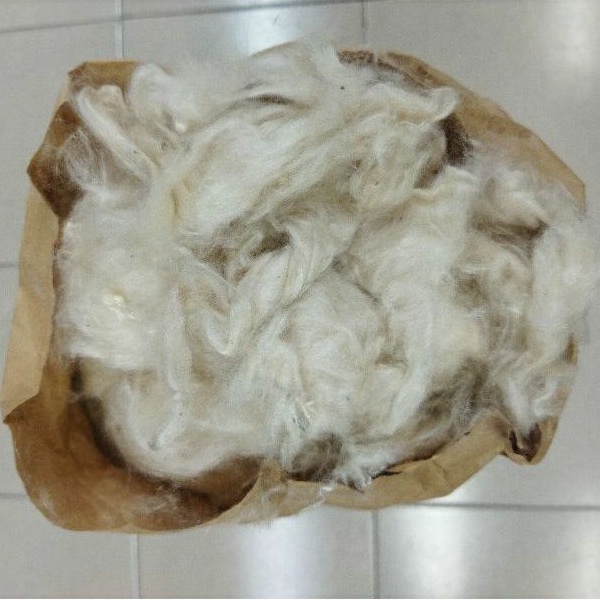 Kekabu Grade PREMIUM 8A/Kekabu "Kampung" 100%/Kekabu for Pillows and ...
