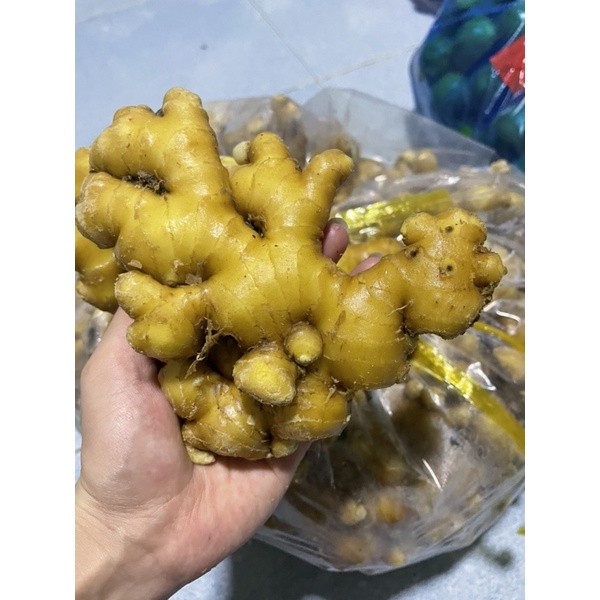 Vietnamese GINGER SPECIAL TYPE 1KG | Shopee Singapore
