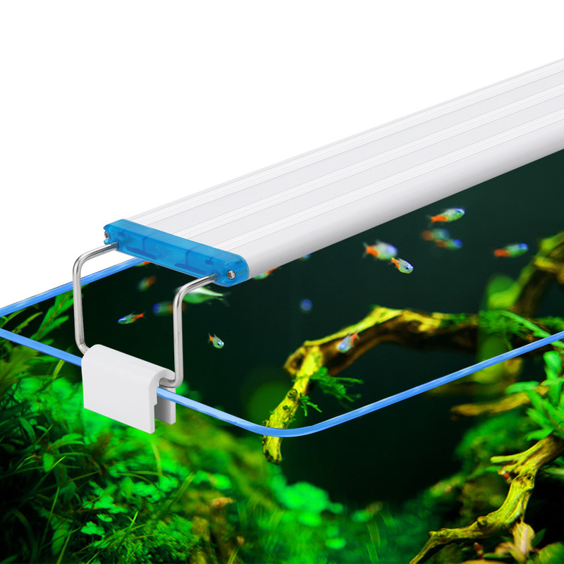 Local Stock. Ultra-thin fish aquarium light. Fish tank light. LED blue ...