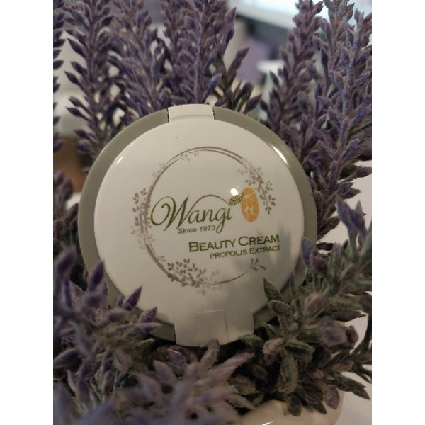 Wangi SP cream (with Enhanced Propolis Version)万仪SP驻颜霜 (升级版) 6g/pc (祛痘膏 ...