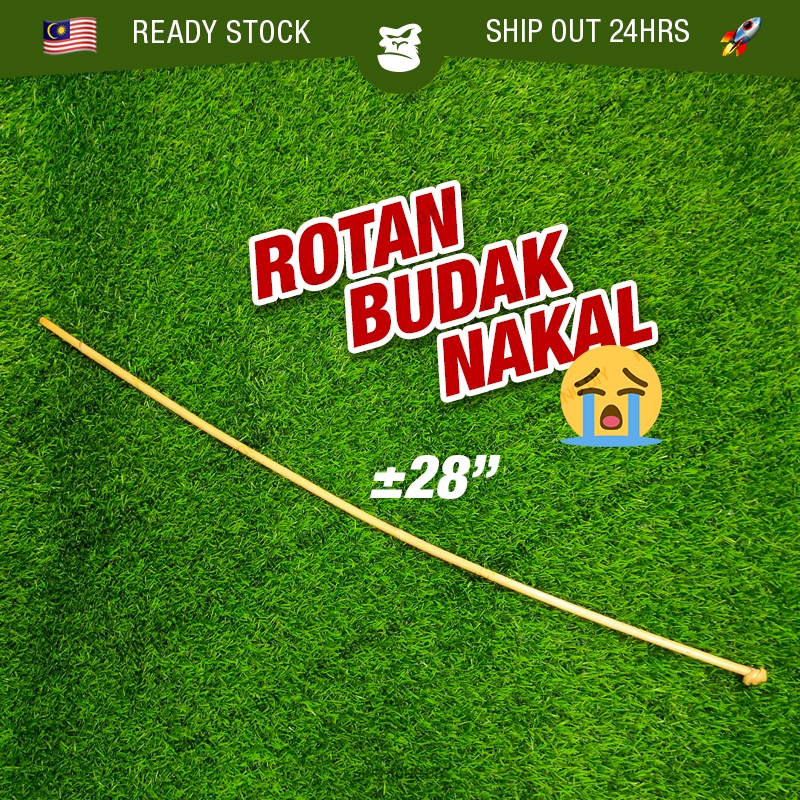 ROTAN BUDAK NAKAL Natural Sega Rattan Stick Cane Study Homework Tough Love Rotan 藤条 | Shopee ...