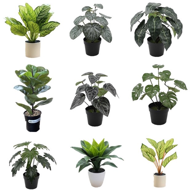 [SG SELLER] Artificial Plant Small Pot Table Plant Decoration Display ...