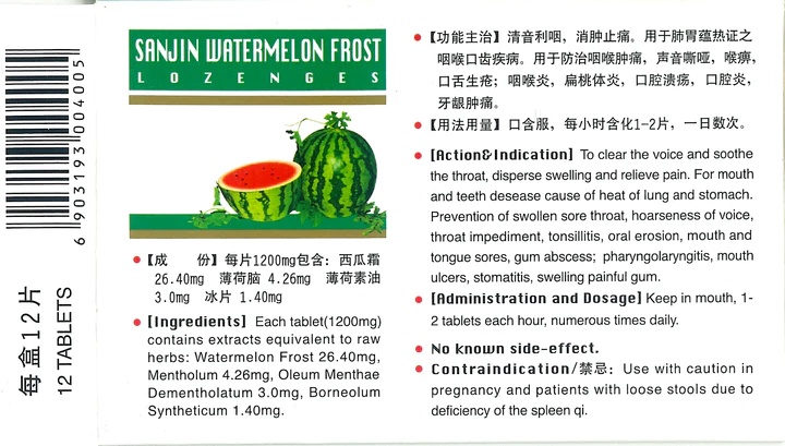 Sanjin Watermelon Frost Lozenges 12 Tablets for Sore Throat | Teeth ...