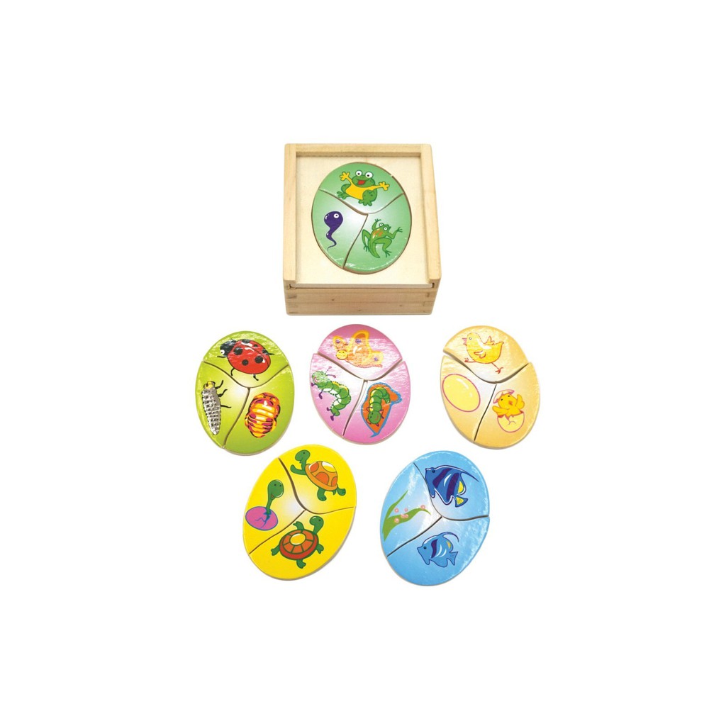 Wooden Life Cycle Box | Shopee Singapore